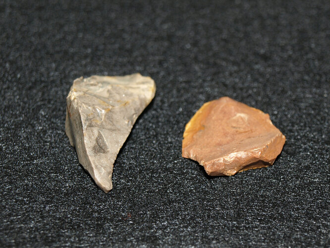 Die jüngere Altsteinzeit - Forum OÖ Geschichte