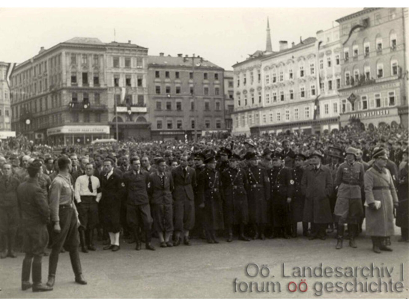 Der "Anschluss" - Forum OÖ Geschichte